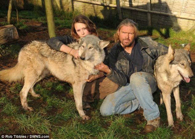 White Wolf : Shaun Eillis, 48, has spent 27 years sleeping in enclosure ...