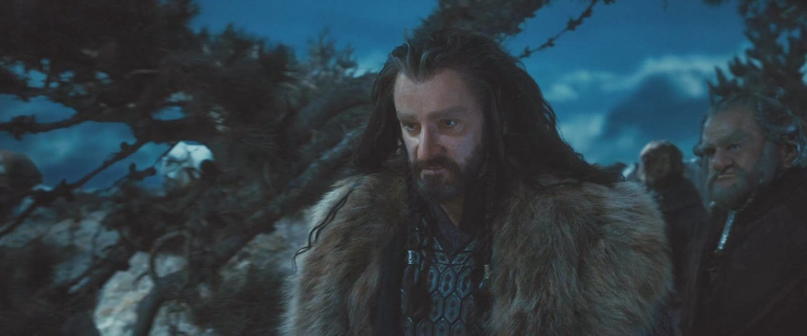 White Rose: Sincere and Simple Thoughts: Thorin Revisited in Pictures ...