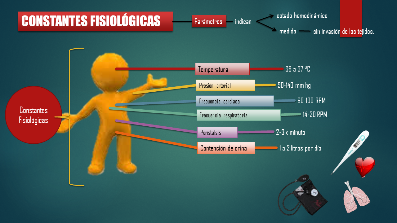 FISIOLOGÍA BÁSICA: Constantes Fisiologicas