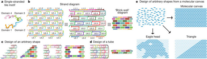 3 nanometer by 7 nm DNA Origami Tiles are Pixels in any 310 Pixel Shape ...