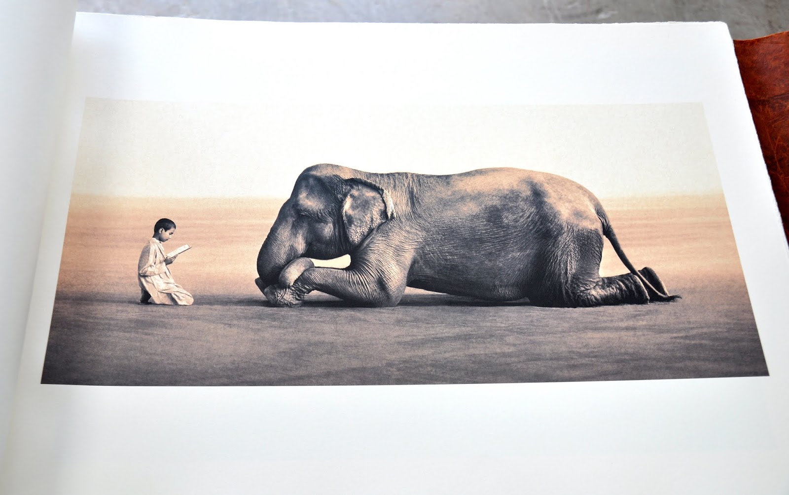 SELECT MODERN: Gregory Colbert, Ashes and Snow Selected Works: 1992–2005