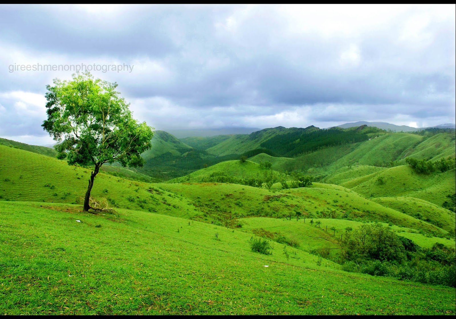 land and life through camera - Gireeshmenon: Wagamon Kerala