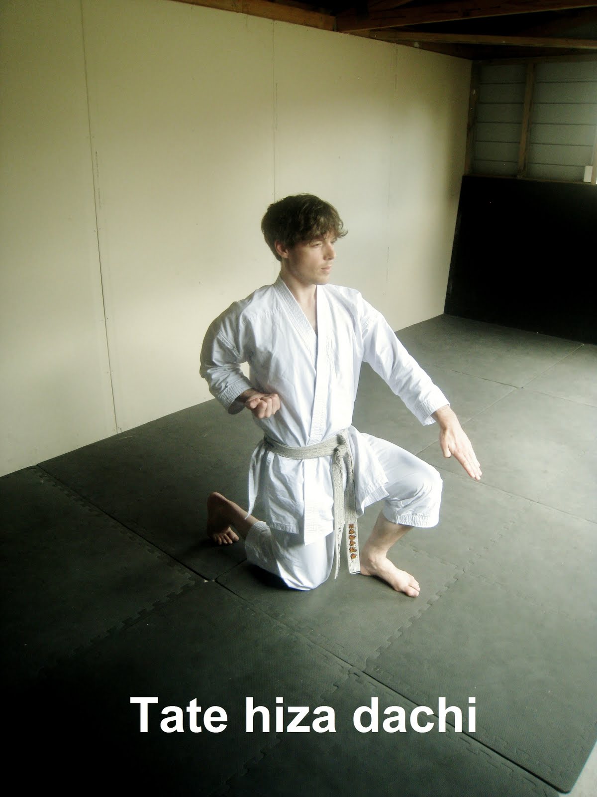 André Bertel's Karate-Do: Taking a stance!