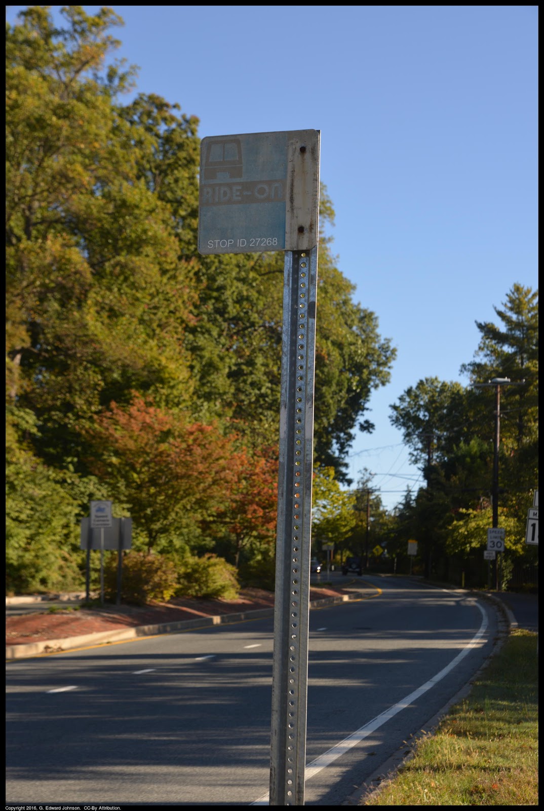 Sum Random Knowledge: Signs covered in Vines