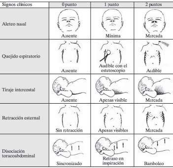 Andrea Silva: Valoración Silverman.