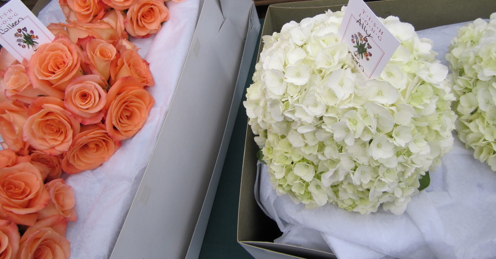 Tish Long Flowers: Indian Summer