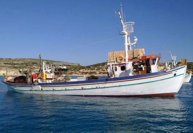 ΥΠΟΒΡΥΧΙΟ ΚΥΝΗΓΙ ( Spearfishing ): Οριστικό φρένο στο ψάρεμα με γρι ...