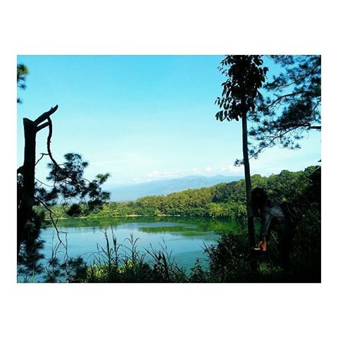 Ranu Pakis Spot Foto dan Pemancingan Gratis - Wisata murah meriah yang ...
