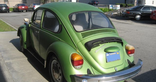 Shop Teacher Bob: Beetle Colors