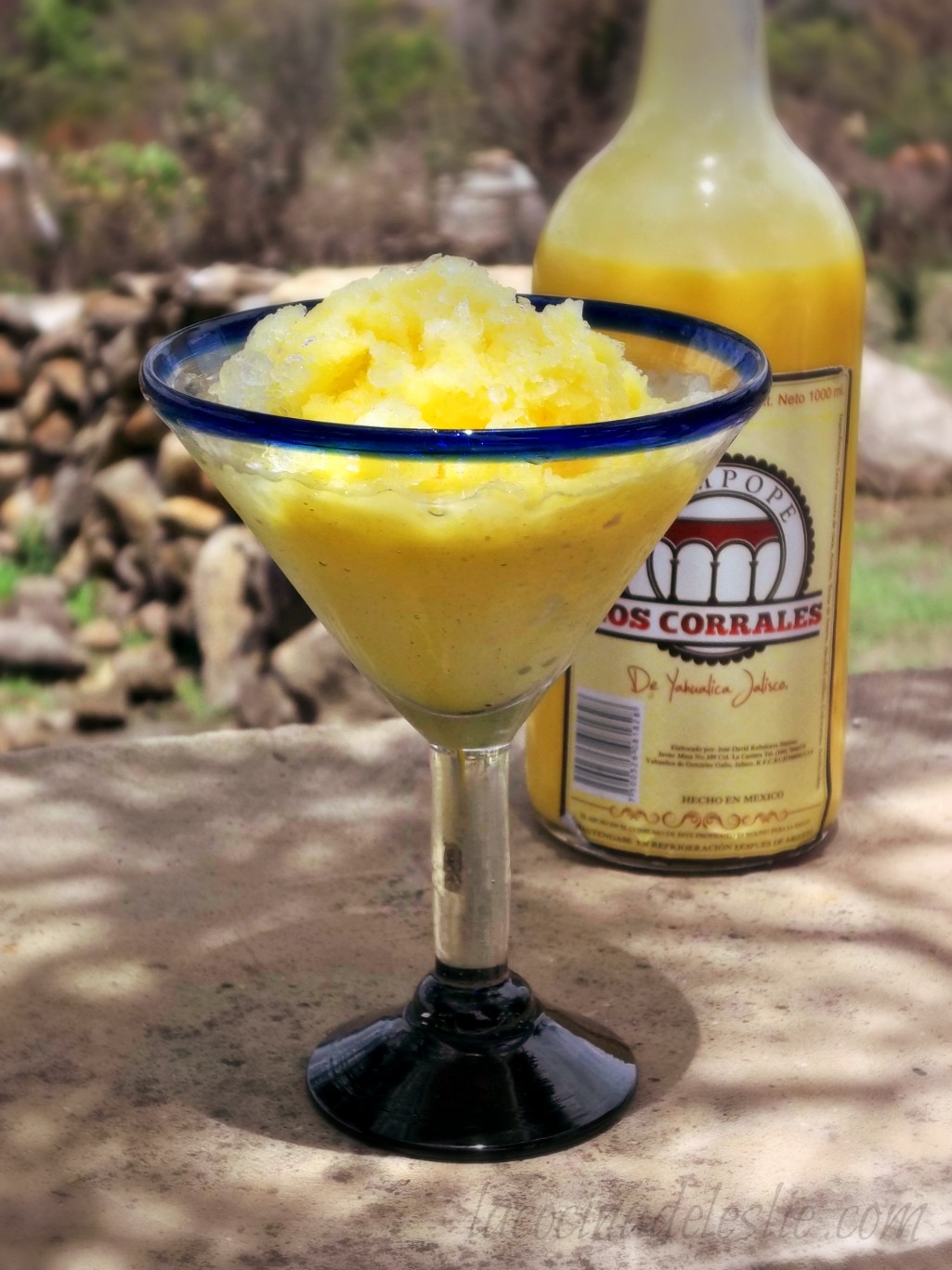 Mexican Rompope Recipe