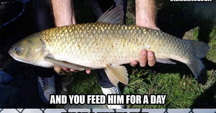 Skeptical Eye: Give a man a fish...