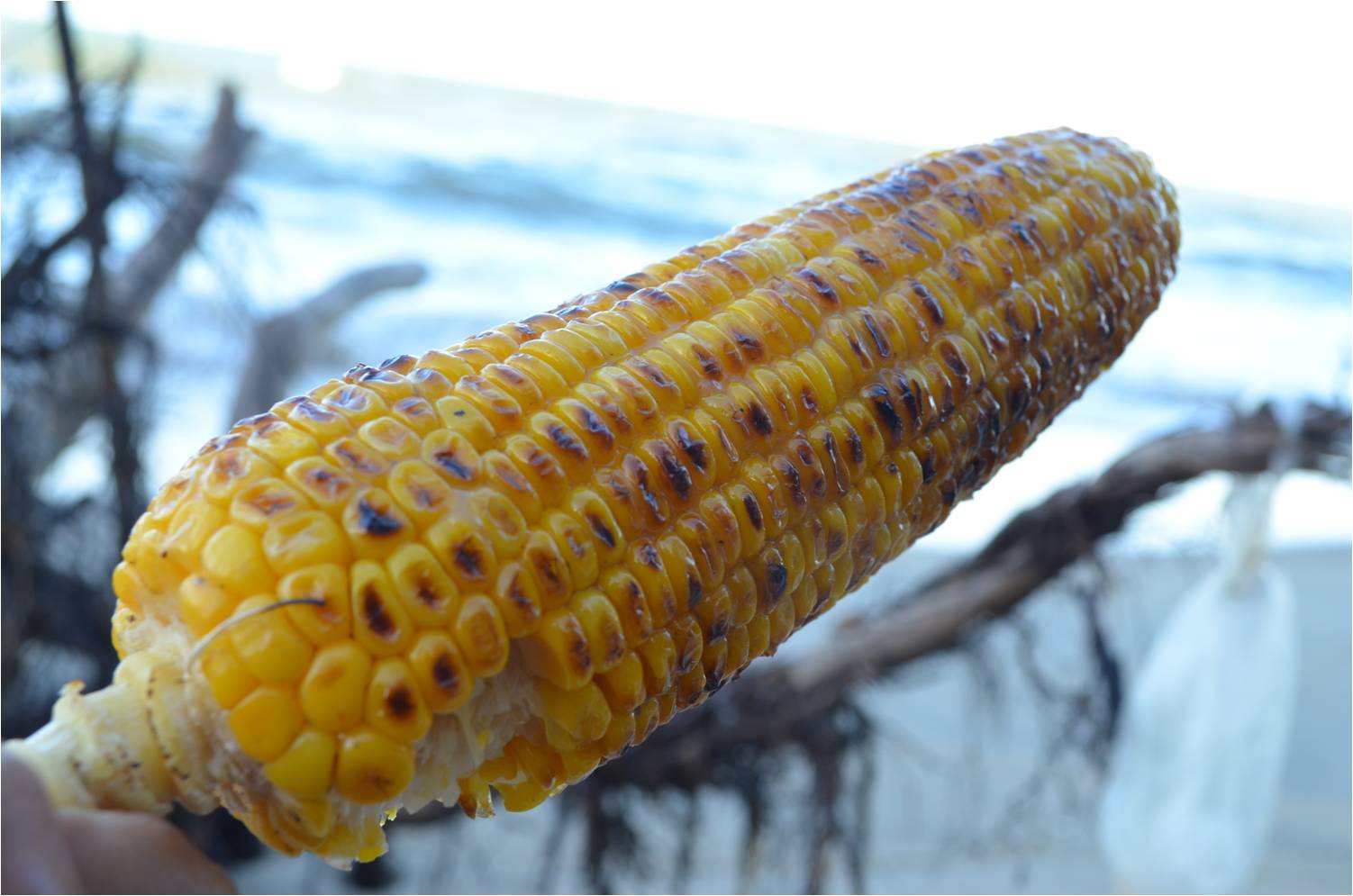 my lOve fOr fOOd: hAving fun : Jagung Bakar