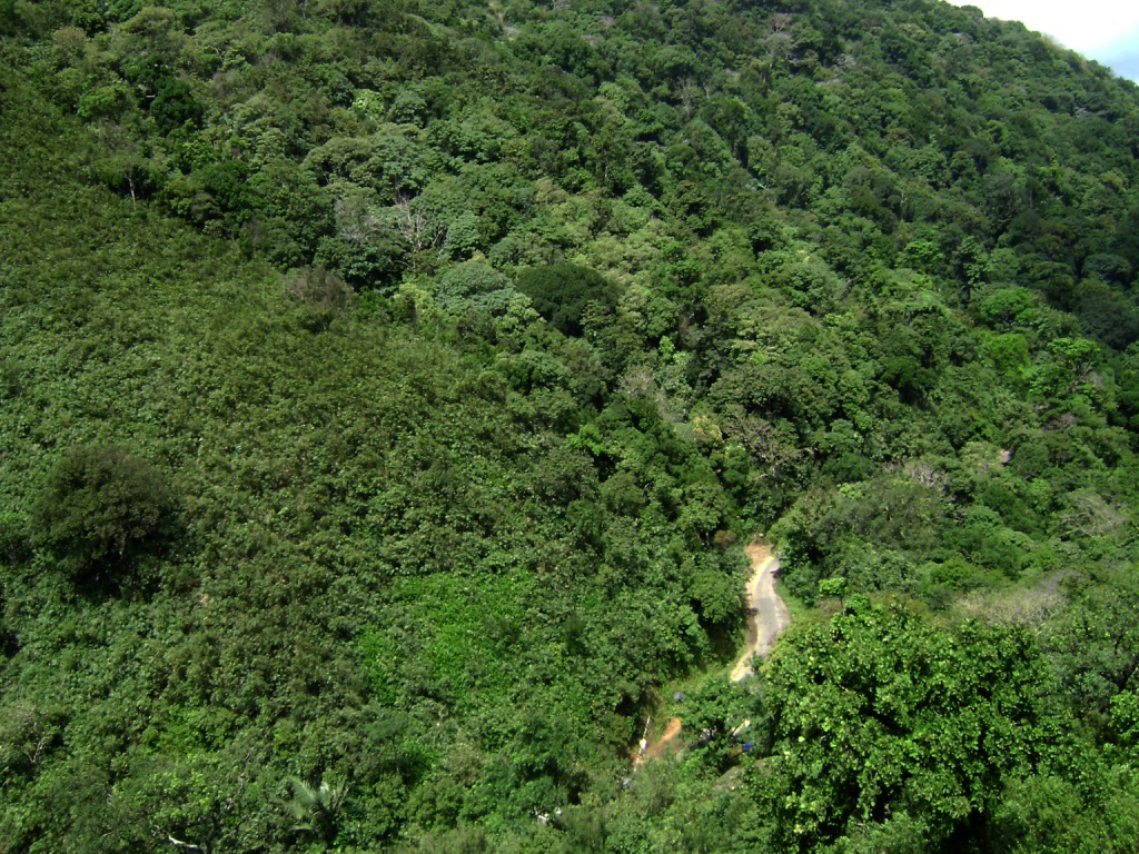 Nature Enthus - DLC : Thooval Mala - The Green Feathered Hillock