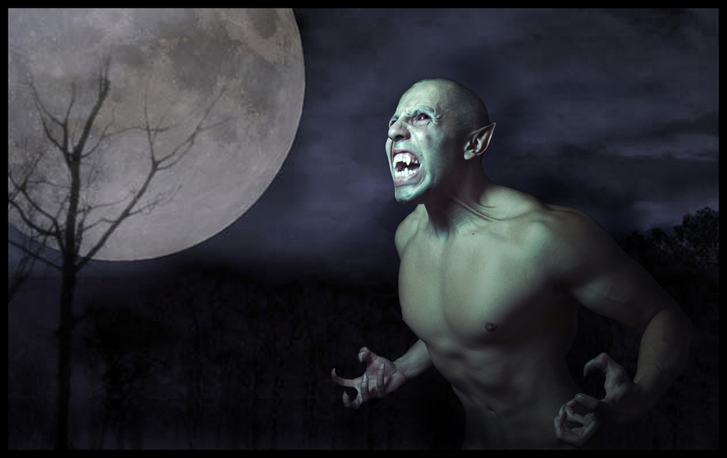 Paperback Hero: Choose Your Own Adventure #31: Vampire Express