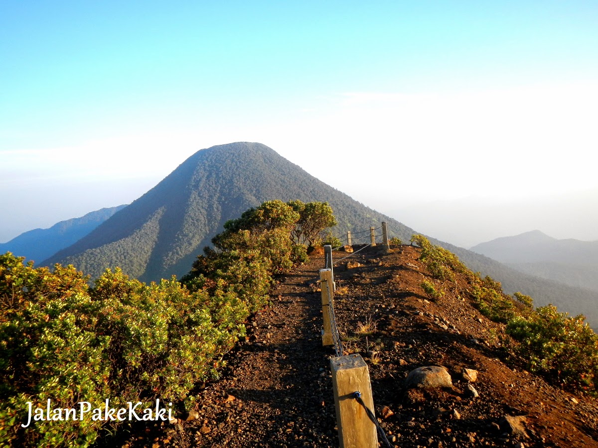 Jalan Pake Kaki: Taman Nasional Gunung Gede Pangrango - Jawa Barat
