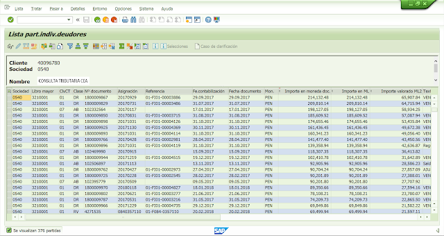 Grupo Meid Perú SAC: TRANSACCION FBL5N - SAP