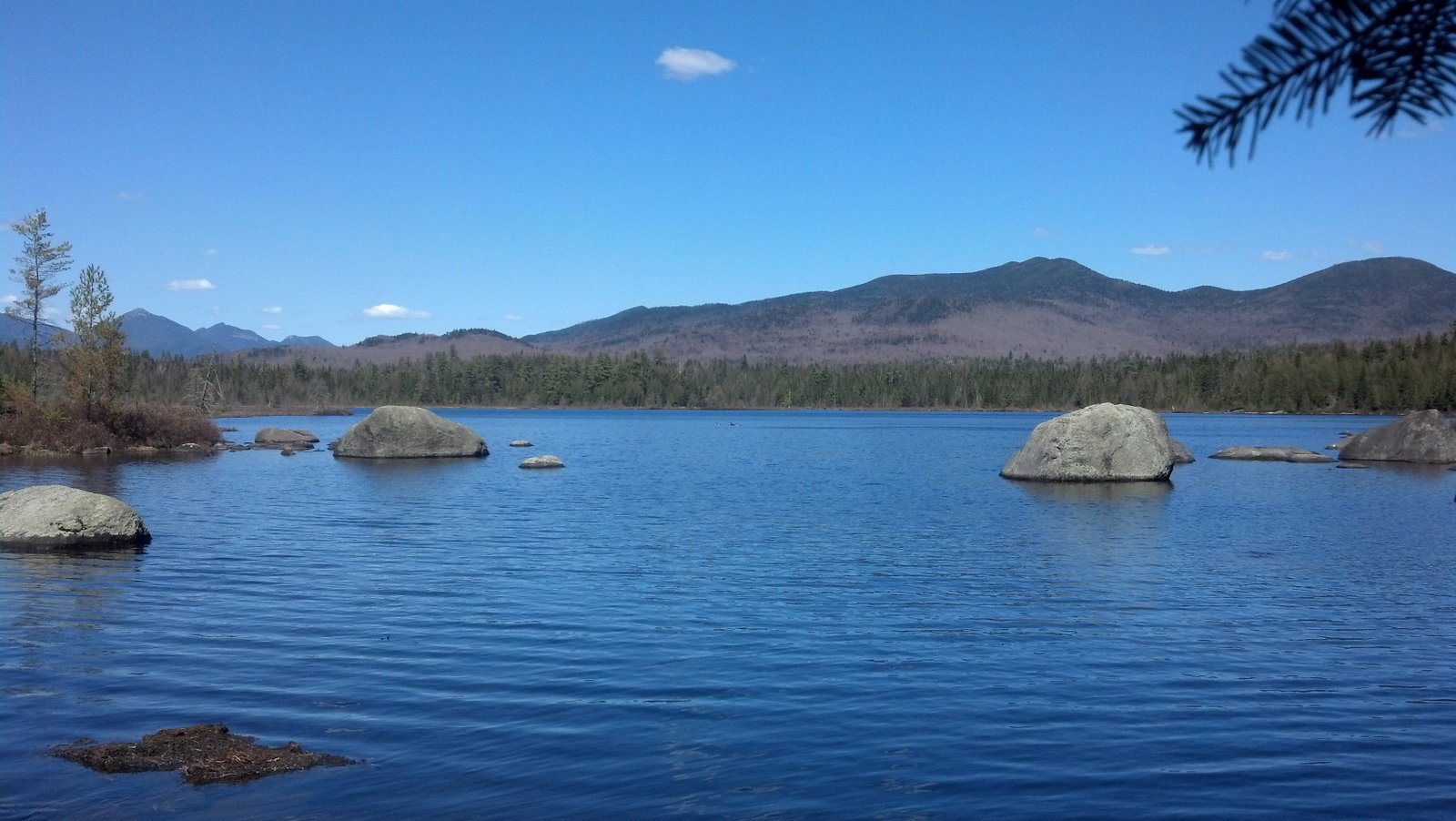 Off on Adventure: Wolf Pond - Vanderwhacker Mountain Wild Forest - 5/5/13
