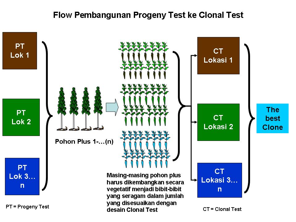 Researcher On Forest: Juli 2012