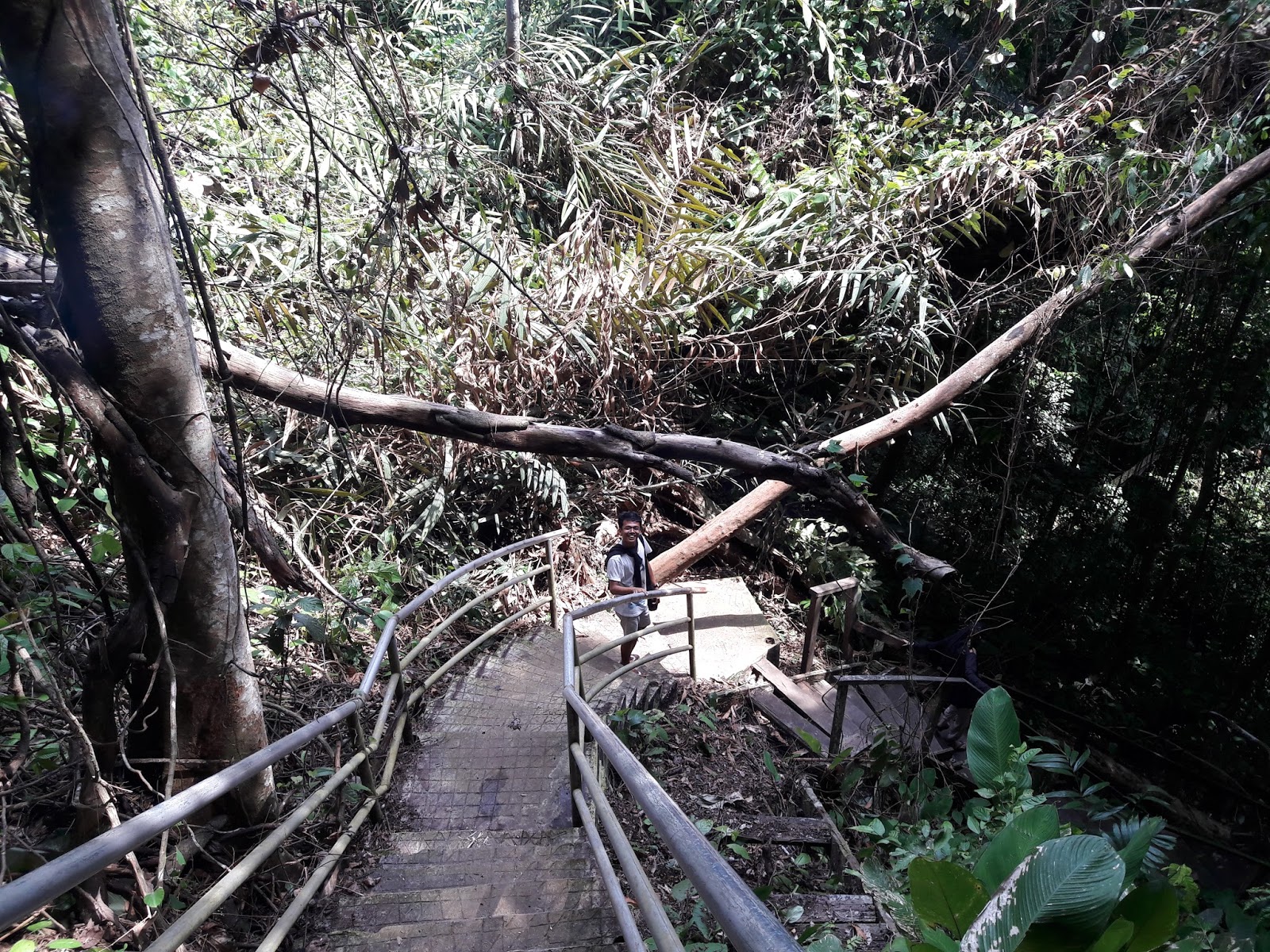 TRIP TO SENDAWAR AND MELAK (WEST KUTAI) - EAST BORNEO - war's