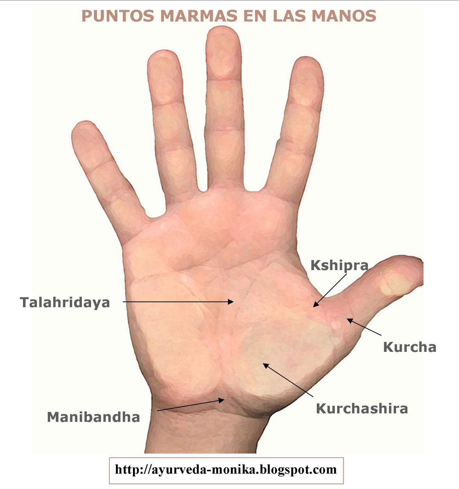 Ayurveda el arte de vivir: Marmaterapia: puntos marma en las manos