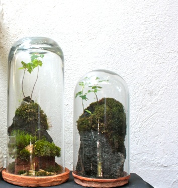 Self-Contained Ecosystems | The Collective Loop