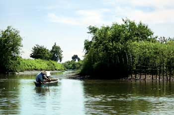 15 Best Places in Sidoarjo, East Java | adventure and travel