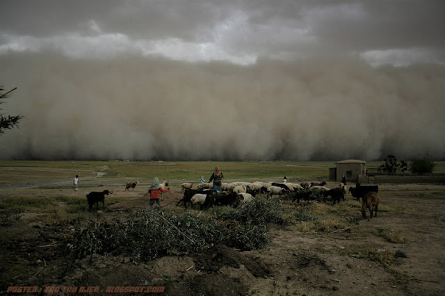 (15GAMBAR) DASYAT! VIDEO DAN GAMBAR RIBUT PASIR YANG MELANDA PHOENIX ...