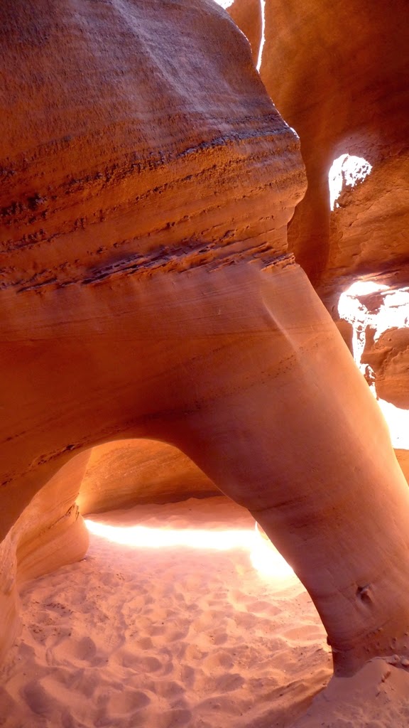 Metamorphosis Road: A "Bucket List" Kind of Day