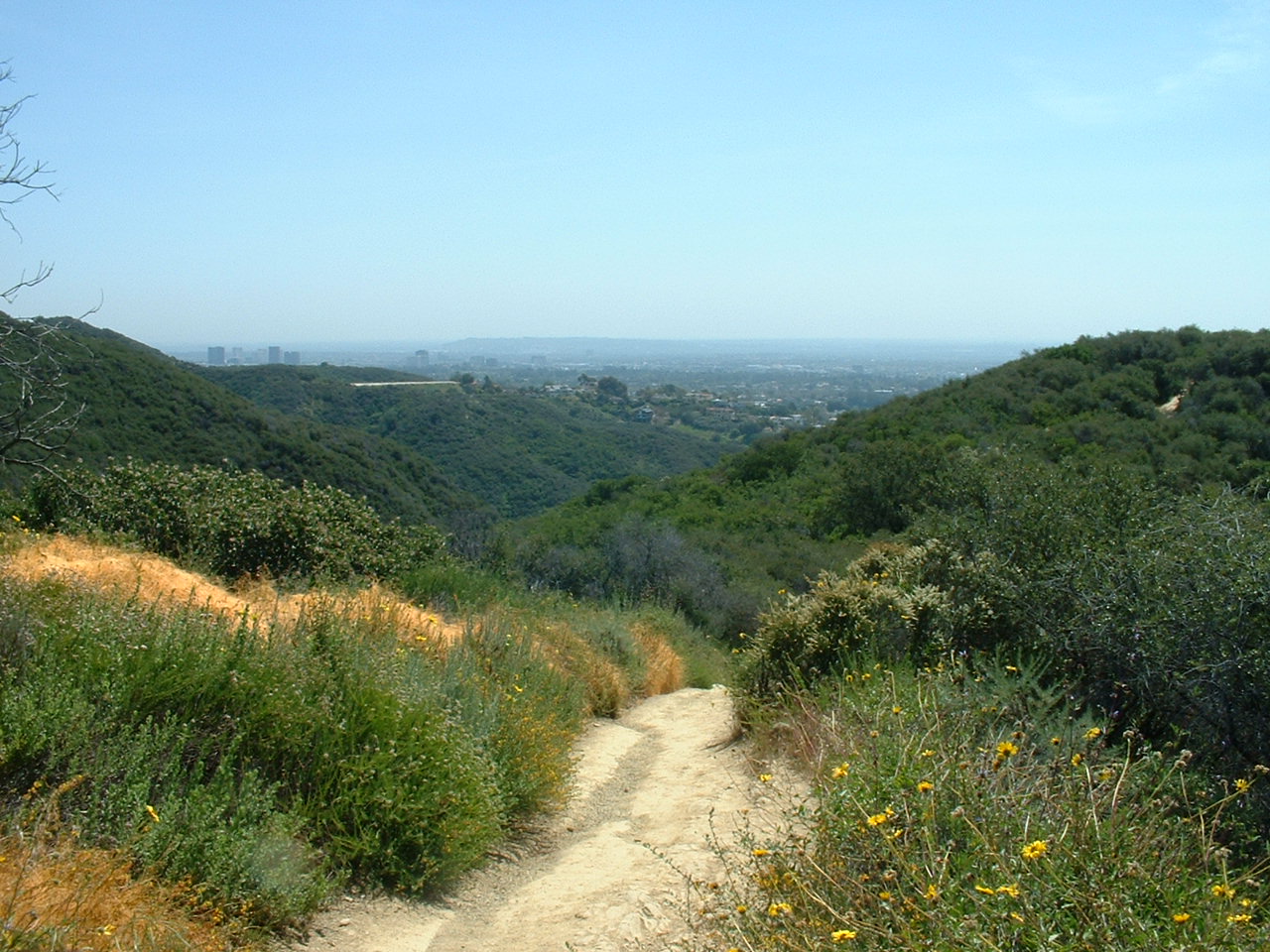 Cocoa and Caffeine Hollywood Travels: Loop-De-Loop: Temescal Canyon Travels
