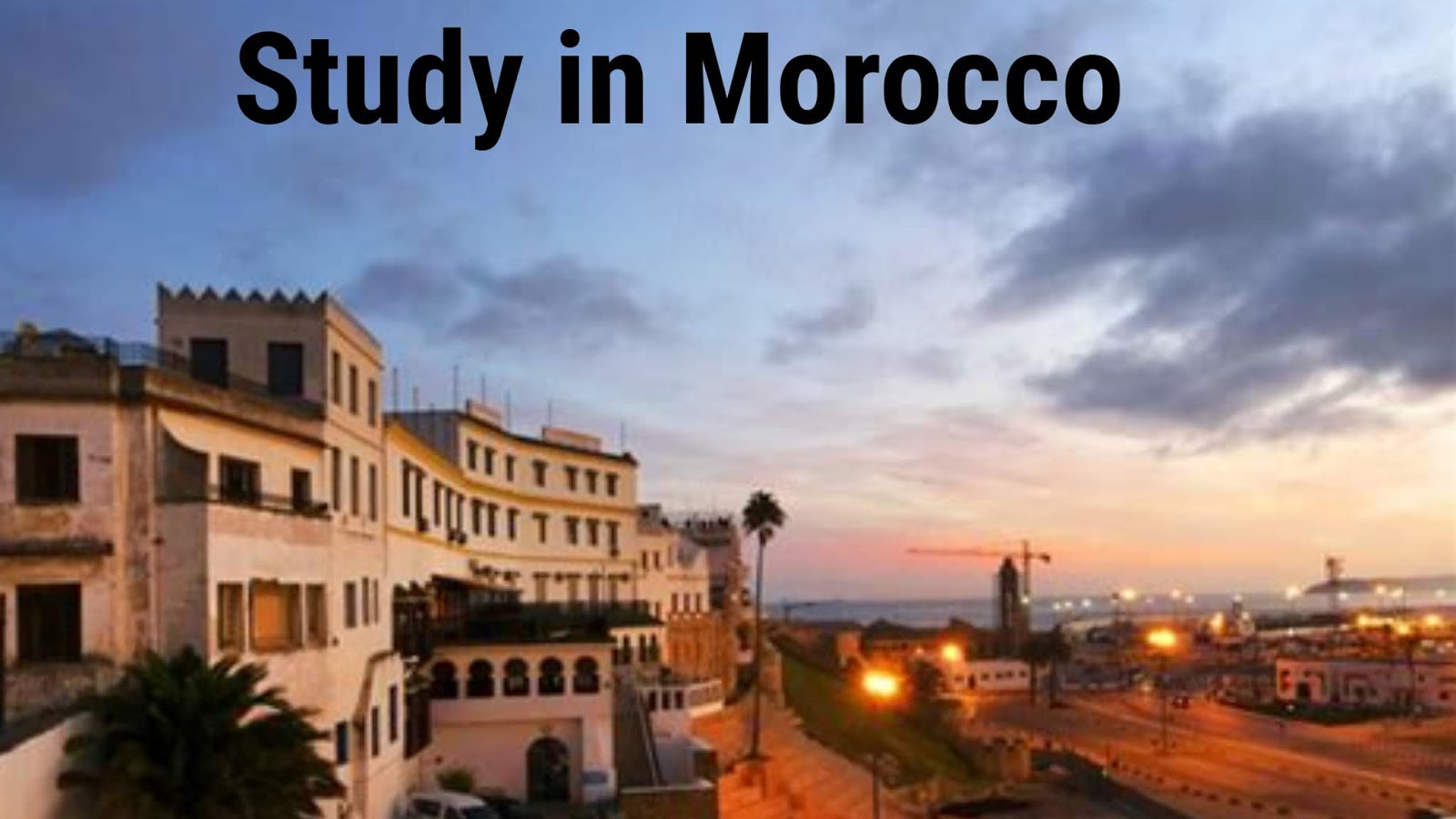 - international studying