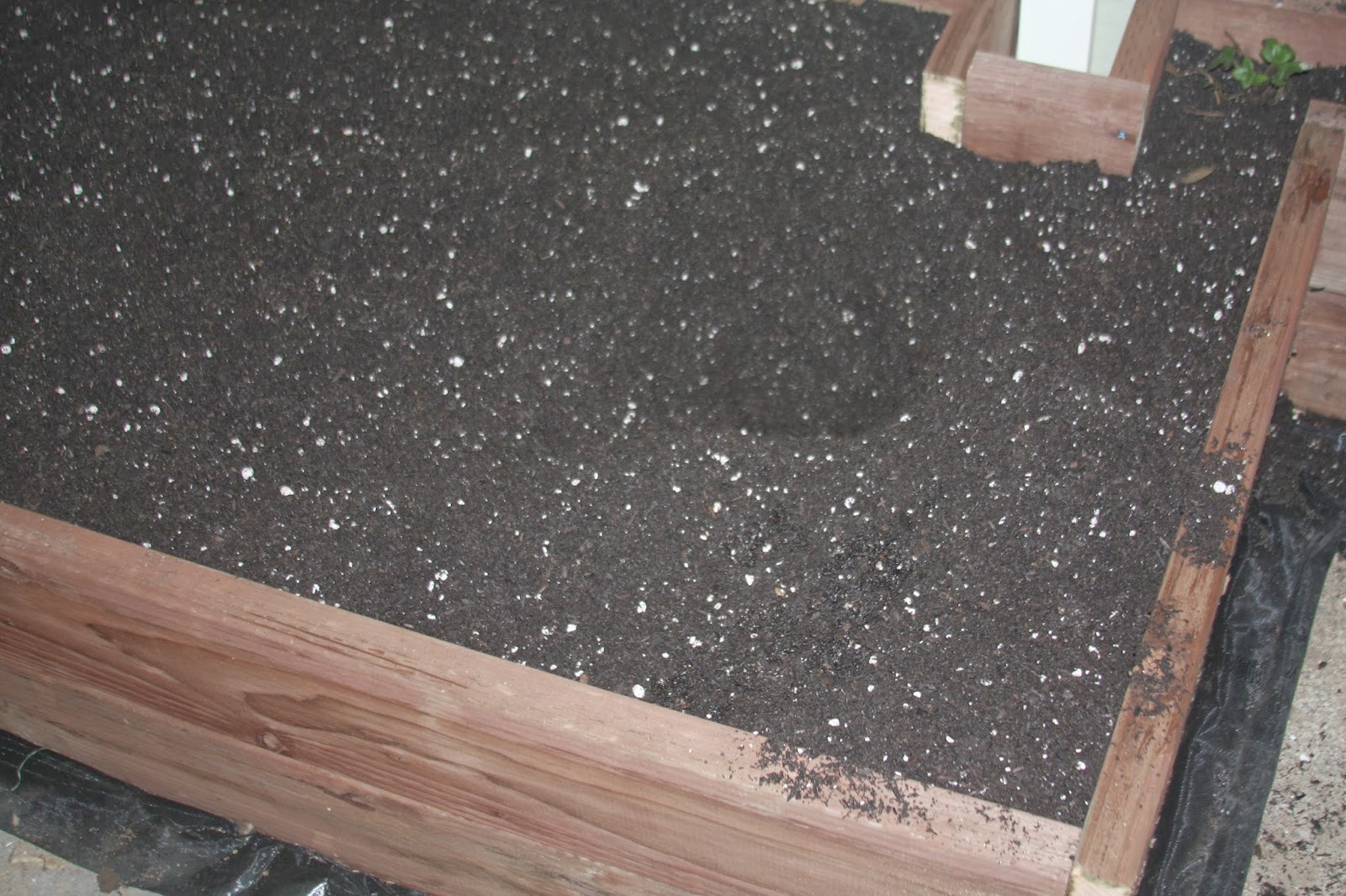 Go Green or DIY trying: Sub Irrigated Planter (SIP)