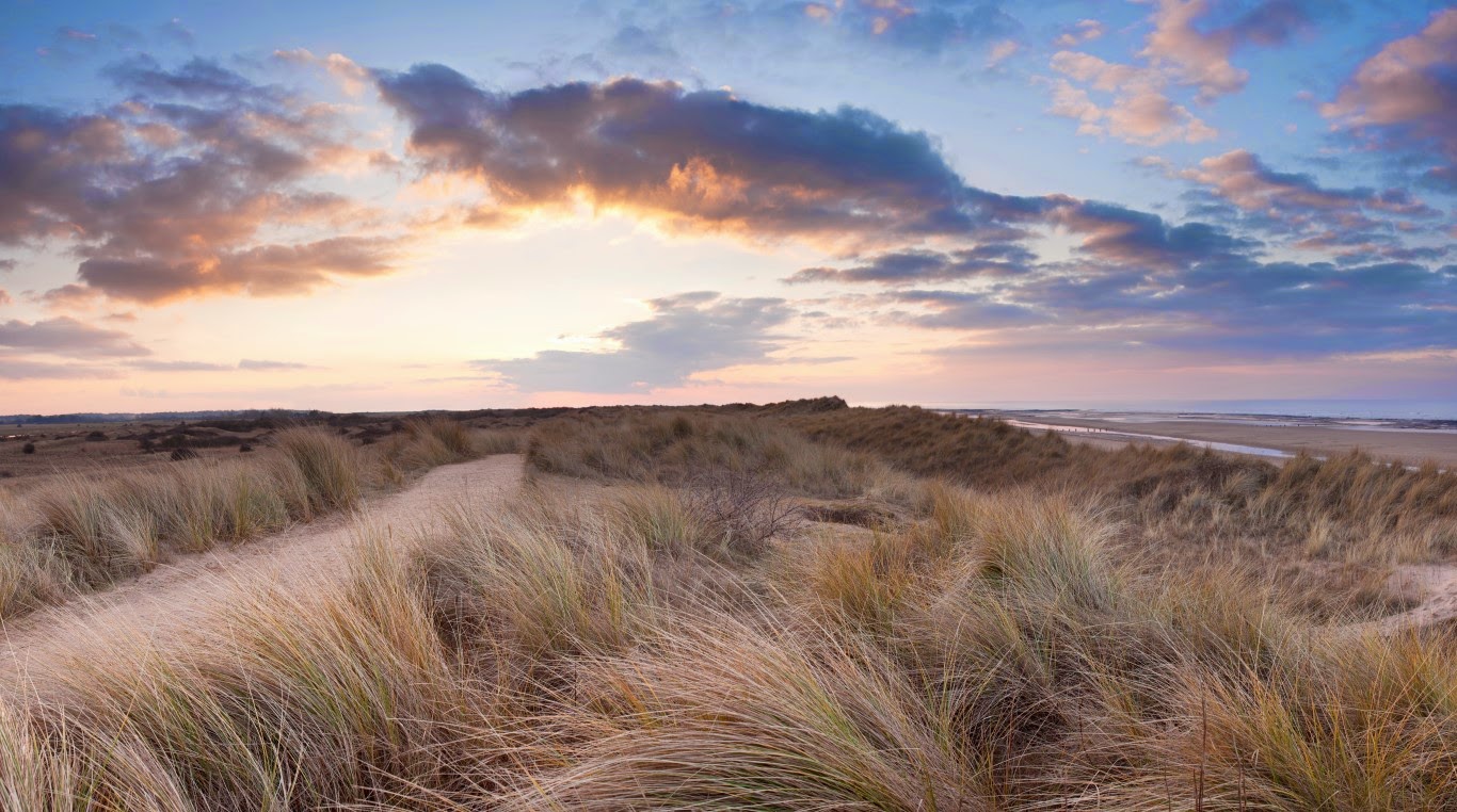 Norfolk Wildlife Trust: My Norfolk Love Affair