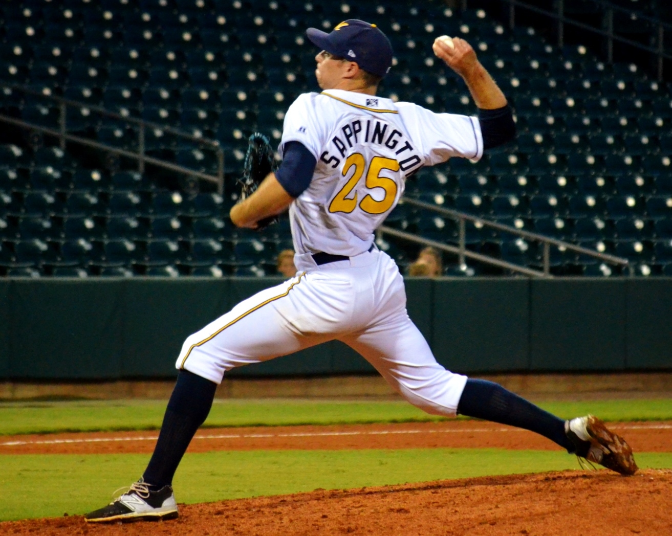 The Montgomery Baseball Blog: Grape Jelly Series Views and Notes