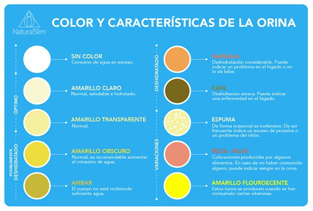 Desarrollo Sustentable 2016-2017: Textura y Color de la Heces y Orina