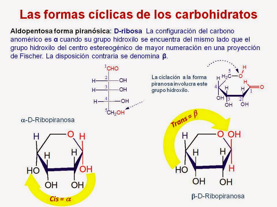 Química Orgánica 2: Carbohidratos: Determinación de la configuración ...