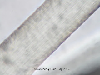 Science-y Hair Blog: Hair Porosity: How To Measure (Sort of)