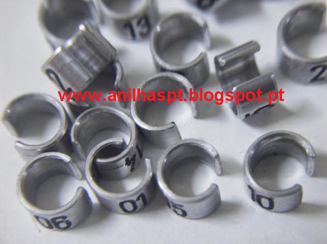 PM ANILHAS: ANILHAS ABERTAS