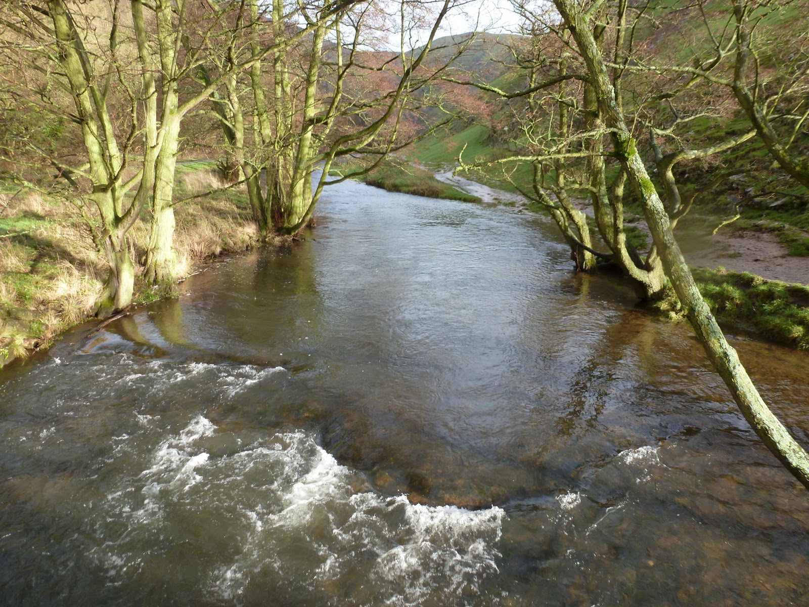 COLNE VALLEY BIRDER: Dovedale