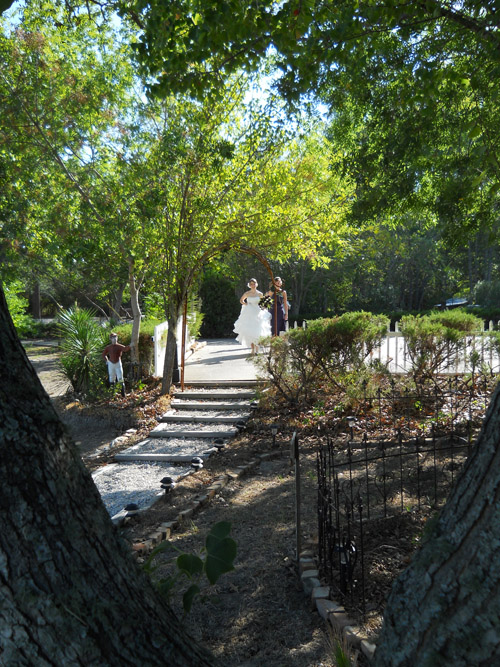 Cochino Lodge Weddings: Grisham and Brindle Wedding At Cochino Lodge