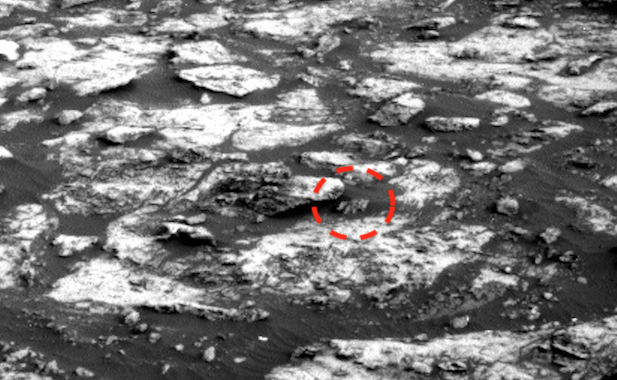 UFO SIGHTINGS DAILY: Fossilised Crab Found On Mars Near Fallen Statue ...
