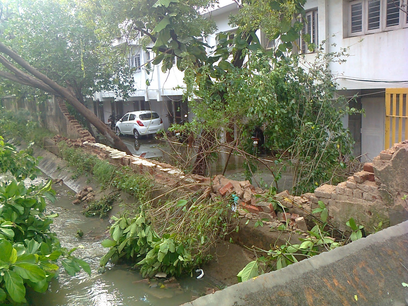 World at your feet: Pondicherry - A Silent Hill (Thane Cyclone) Photographs