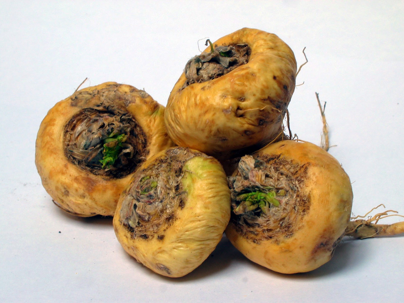 Baú do Luizinho: Conheça os benefícios da maca peruana e saiba como ...