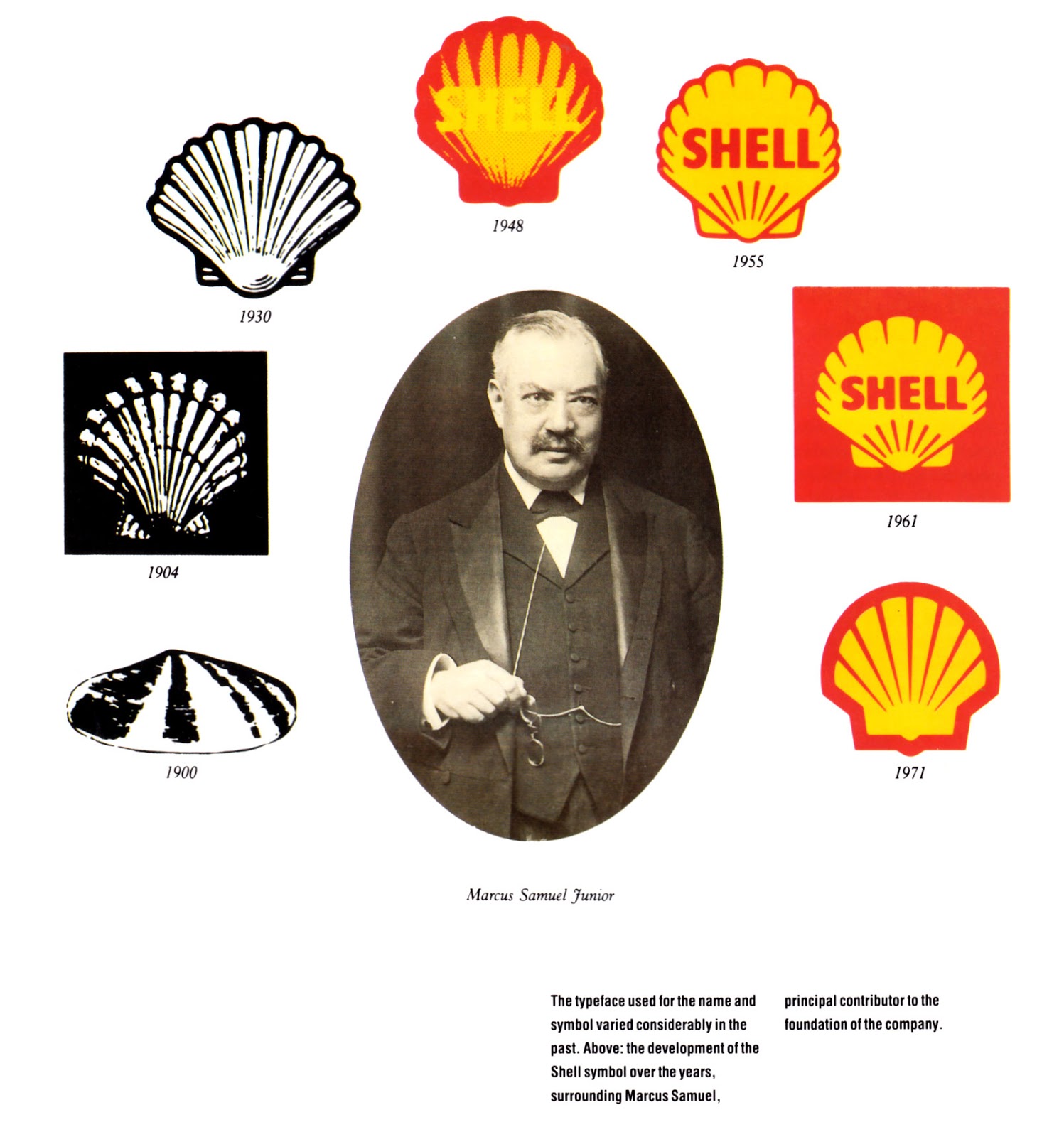 Progress is fine, but it's gone on for too long.: Shell Game: Evolution ...