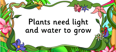 Welcome To My Blog......: Plants Need (Games)