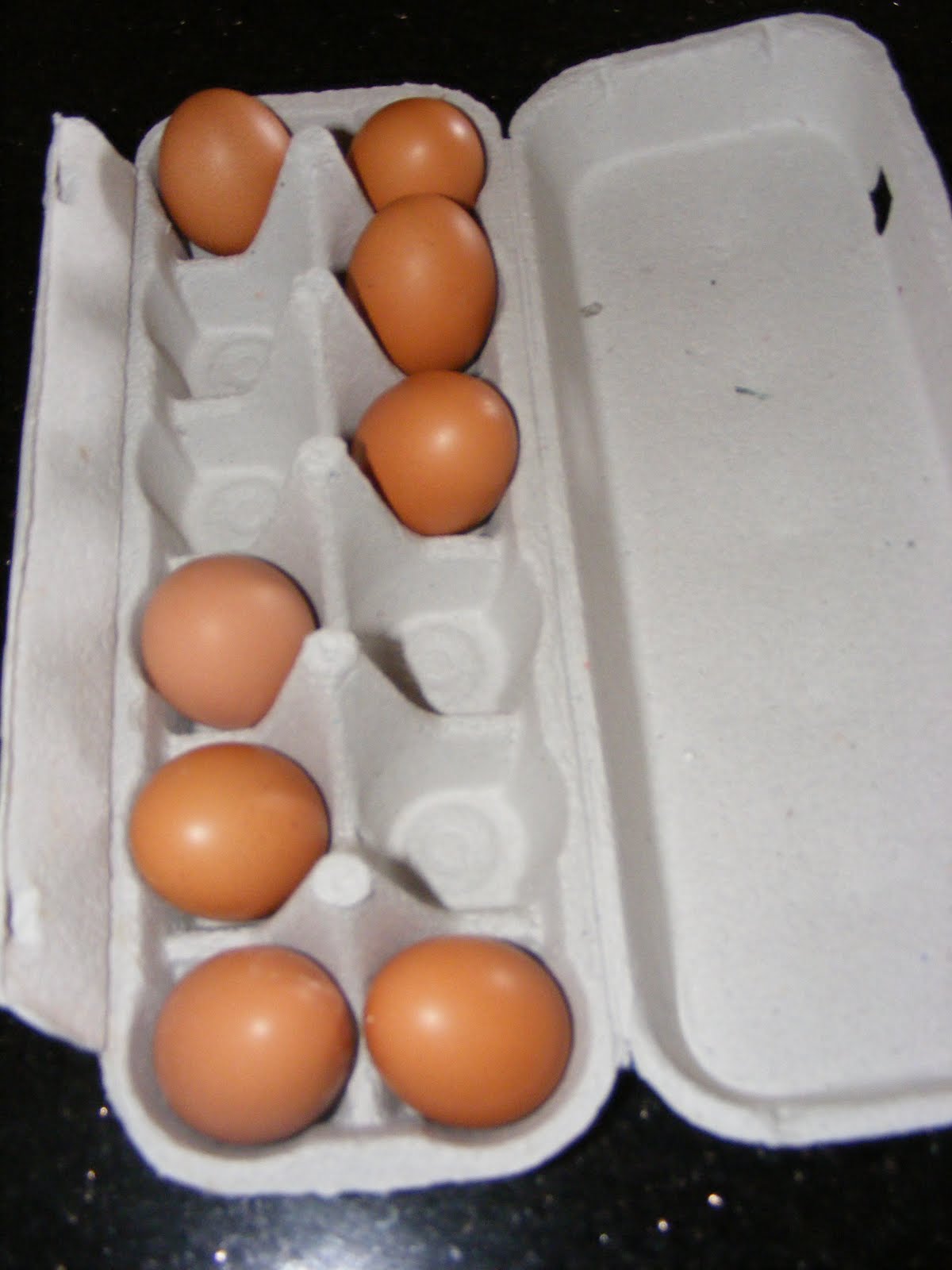 Backyard Self-Sufficiency: 13. All Things Chooky (or How to Build a ...