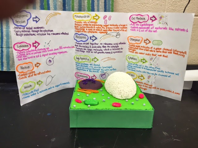 Ms. Pasquali's Grade 8 Class: Science Culminating Activity