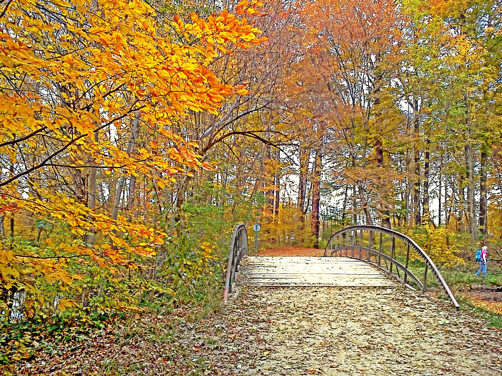 Nanda & Nathan The Travellers: Fall Foliage in Munich, Germany
