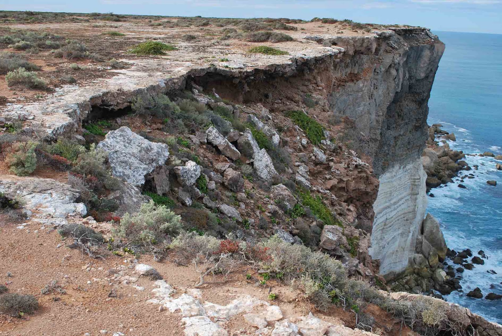 oldworleybirds go west 2012: Nullar-not-so-boring