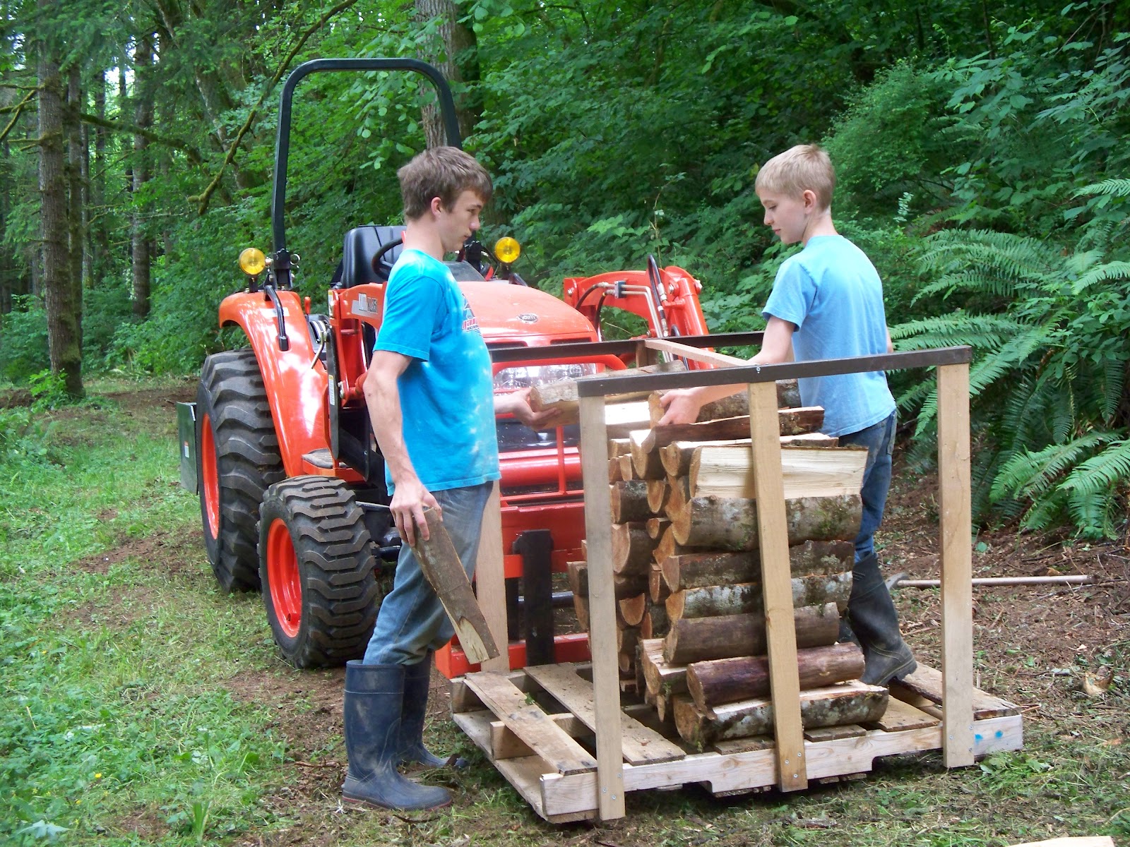 Jabez Farm: Boys and Firewood