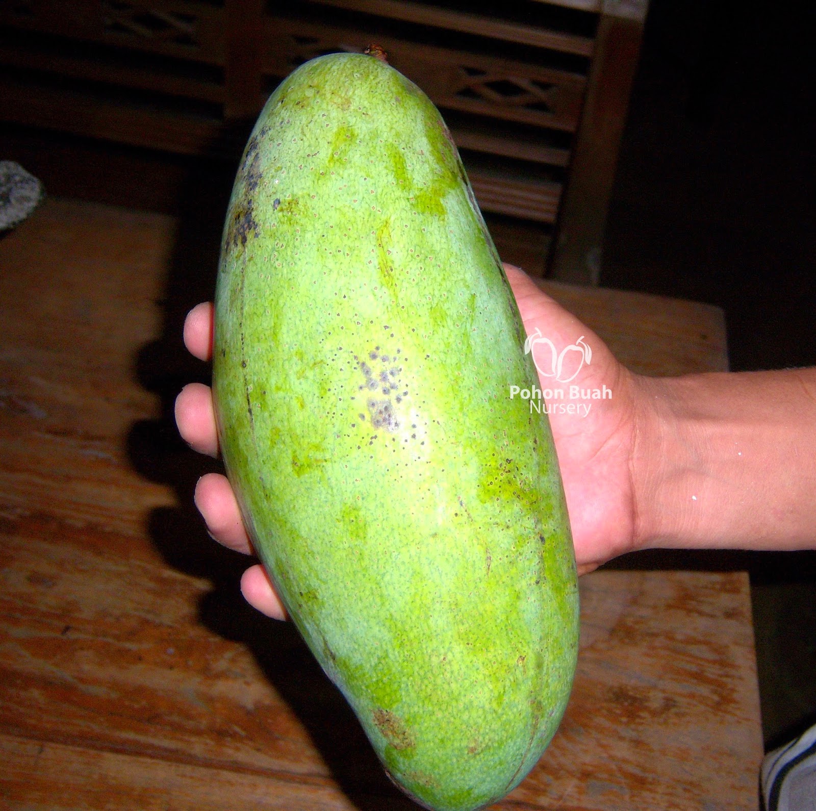 PBN: Mangga Golek